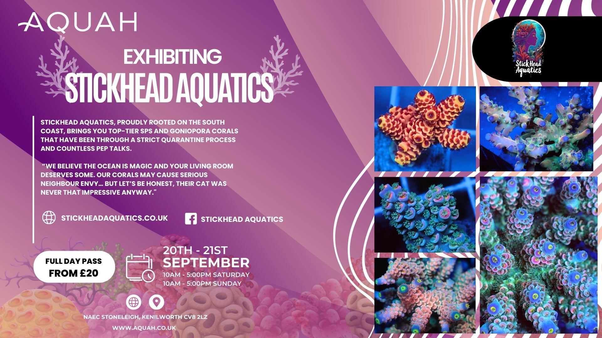 Stickhead Aquatics – AQUAH